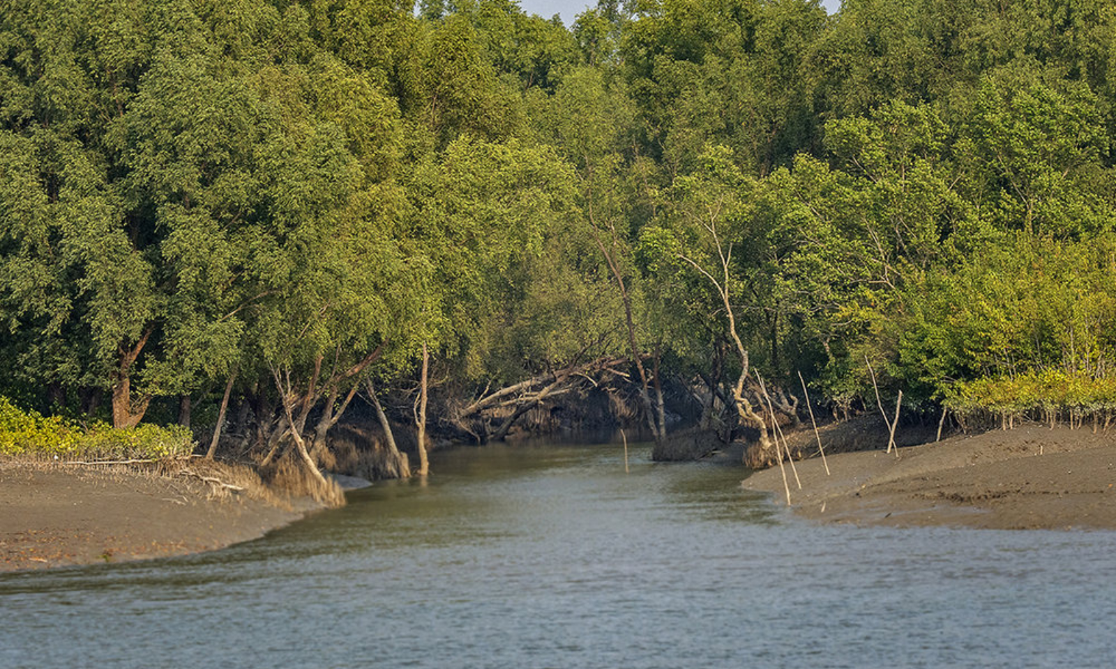 Sundarbans Biosphere Reserve