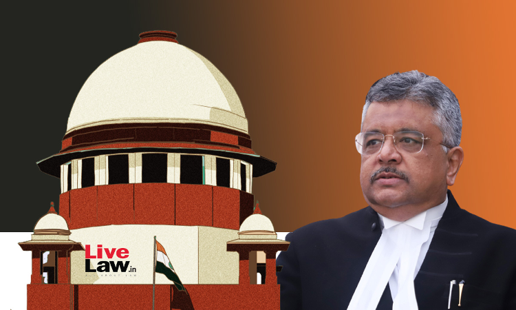Same Sex Marriage | Judiciary Not Equipped To Deal With Shades Of ...