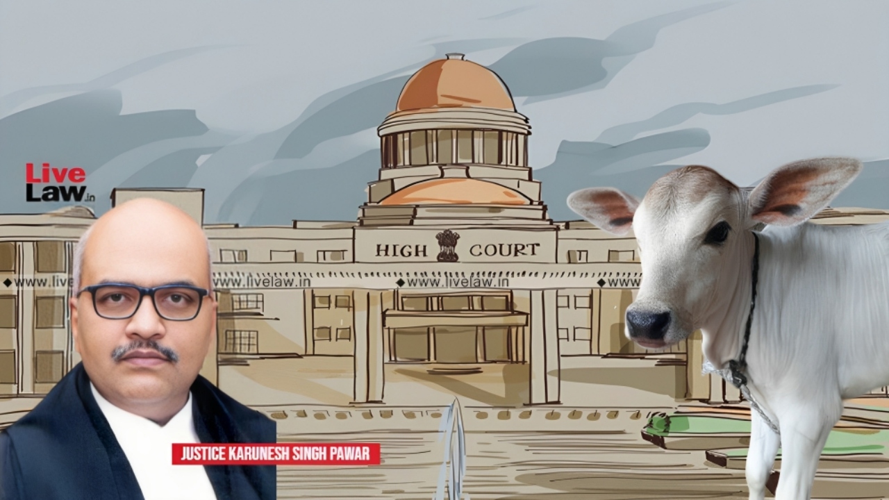 UP ‘Cow Slaughter’ Act | Vehicle Transporting Cow, Its Progeny Within ...