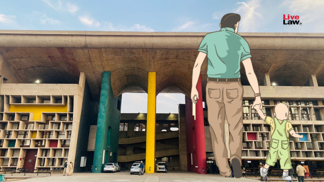 'No Time With Mother': Punjab & Haryana High Court Declines Custody To ...