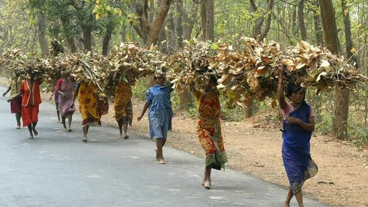 The Deep Struggle For Equality In Tribal Succession Practices Of North ...