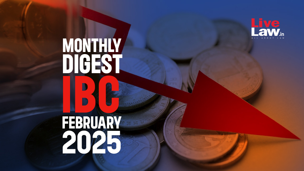 IBC Monthly Digest [February 2025]