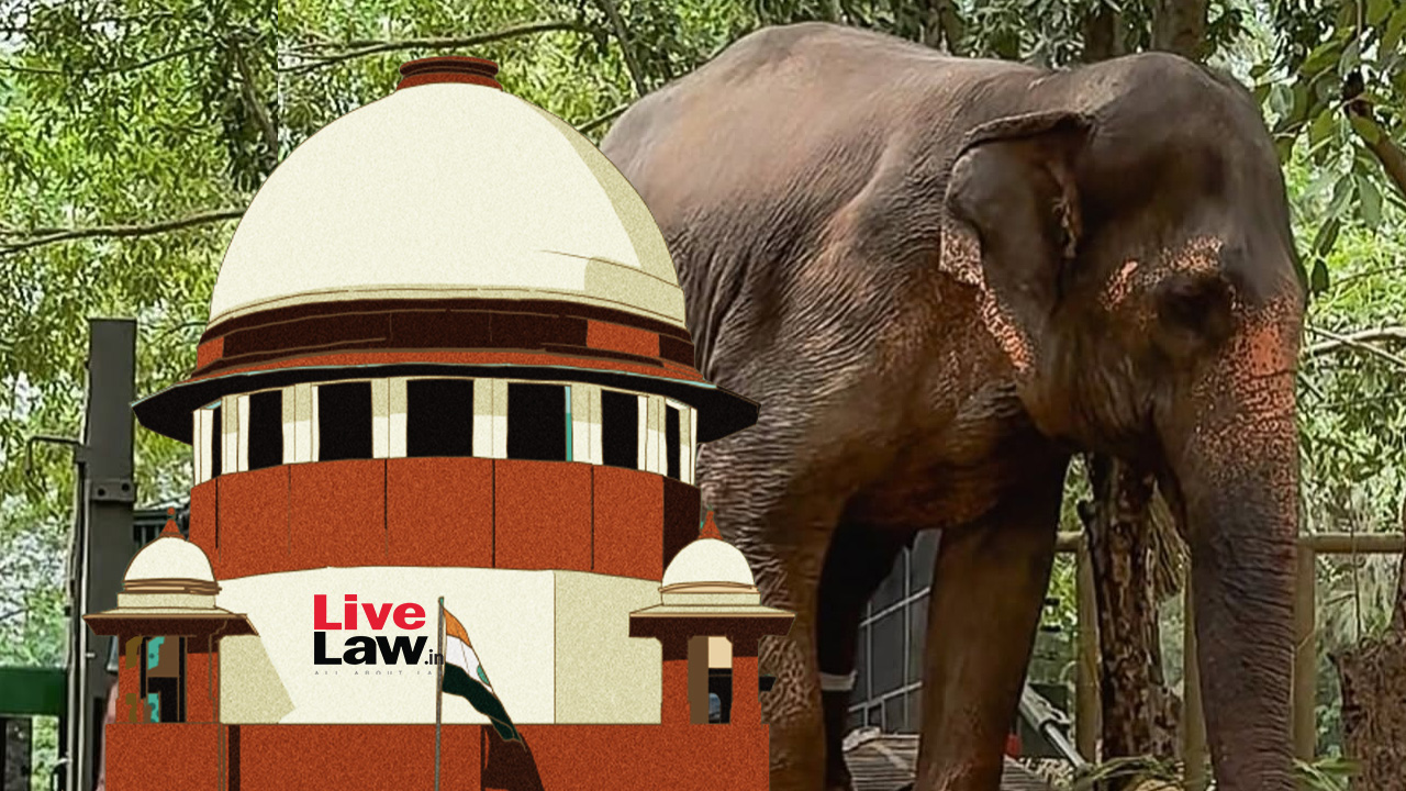 Supreme Court To Hear Plea Against Shifting Of Kolhapur Temple Elephant ...
