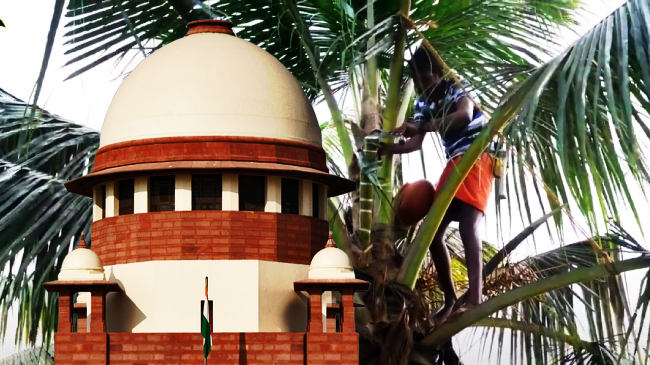 Supreme Court Strikes Down 2007 Kerala Govt Order Capping Coconut Toddy ...