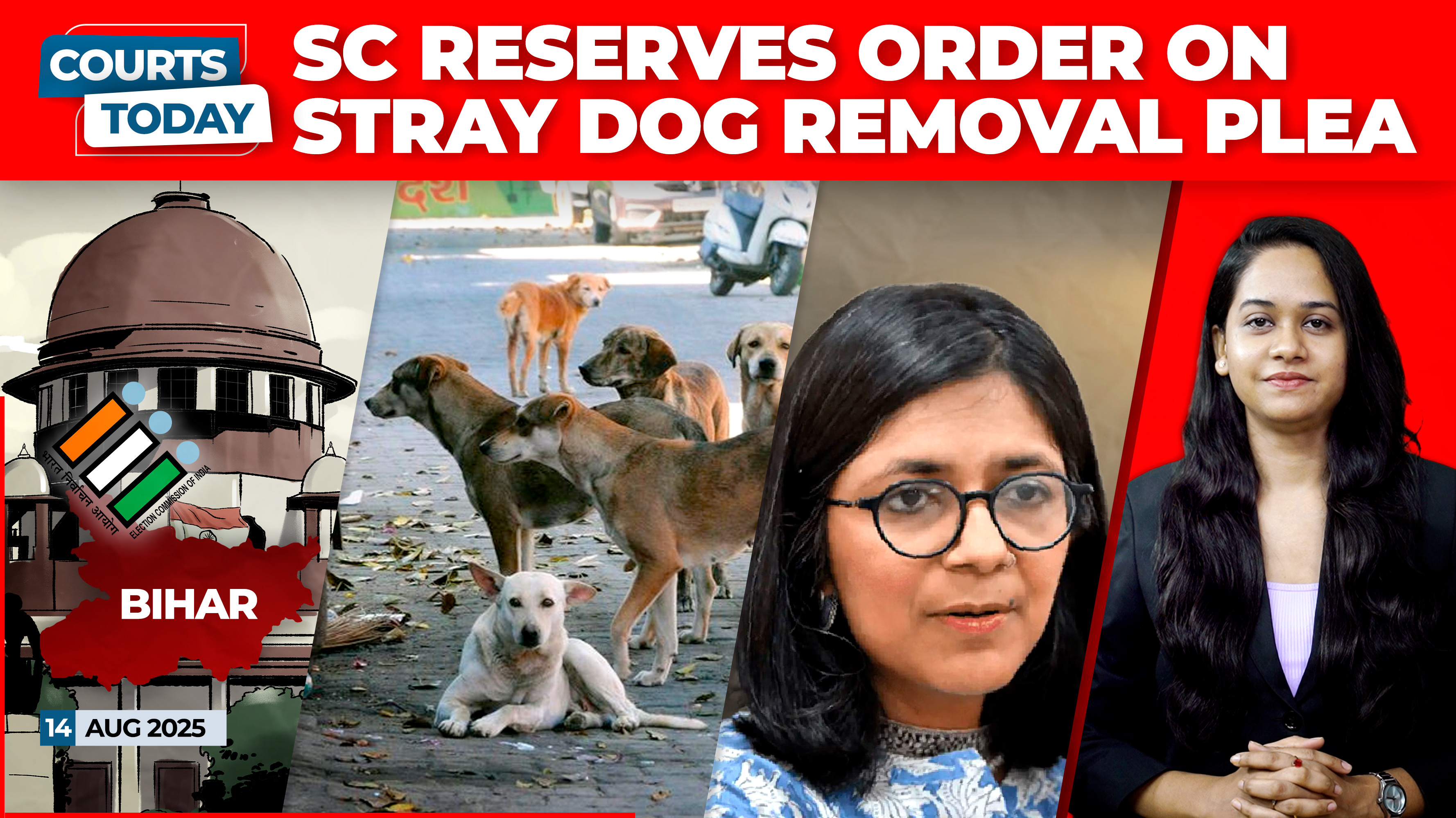 Delhi Stray Dogs | Bihar SIR | J&K Statehood Restoration | Swati ...