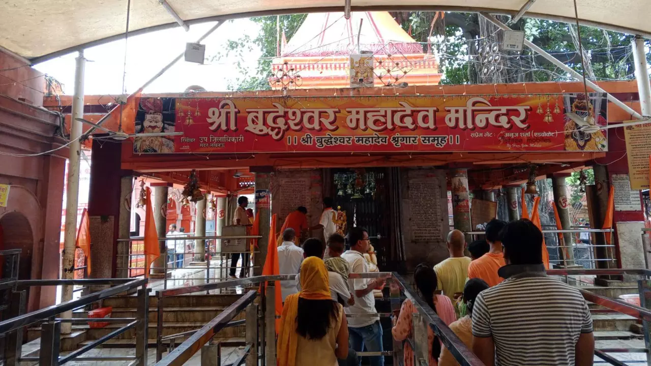 Allahabad High Court Directs UP Govt To Frame Scheme For Administration ...